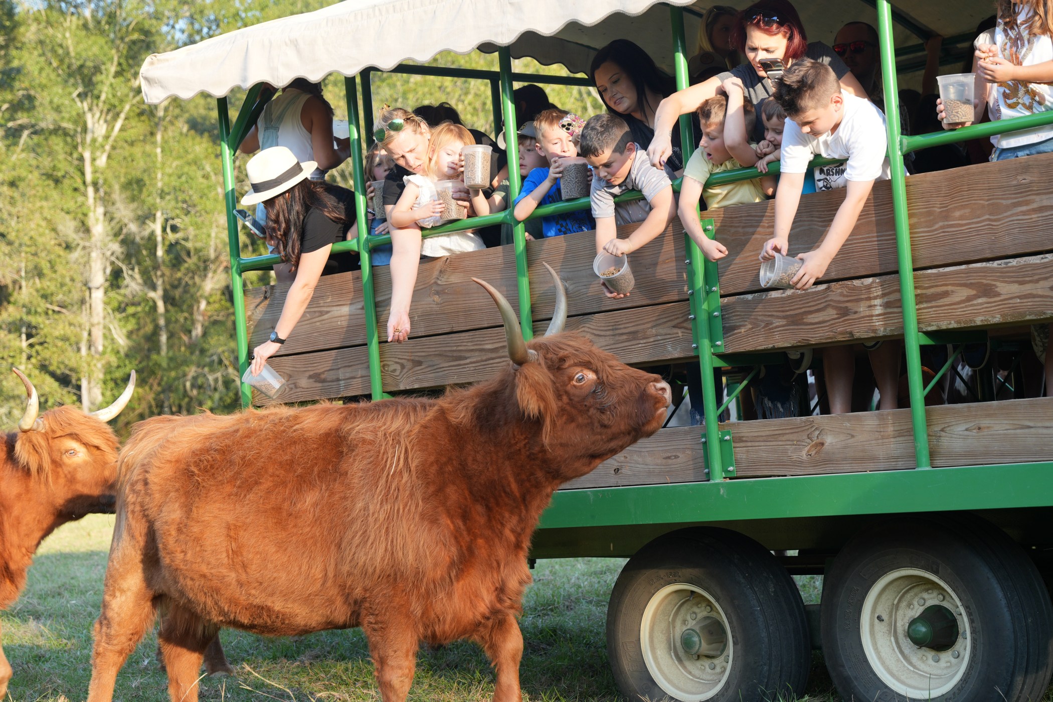 Louisiana Zoo Field Trip Animal Program | Magnolia Wilds